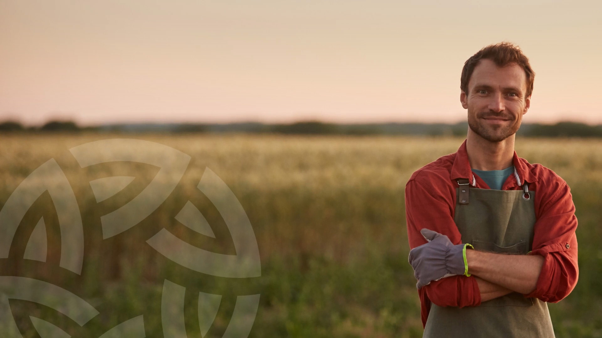 Allies for Agriculture - WS