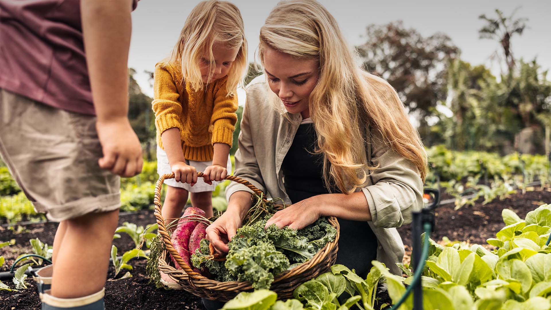 10 Ways to Get Gen Alpha Excited About Agriculture - WS